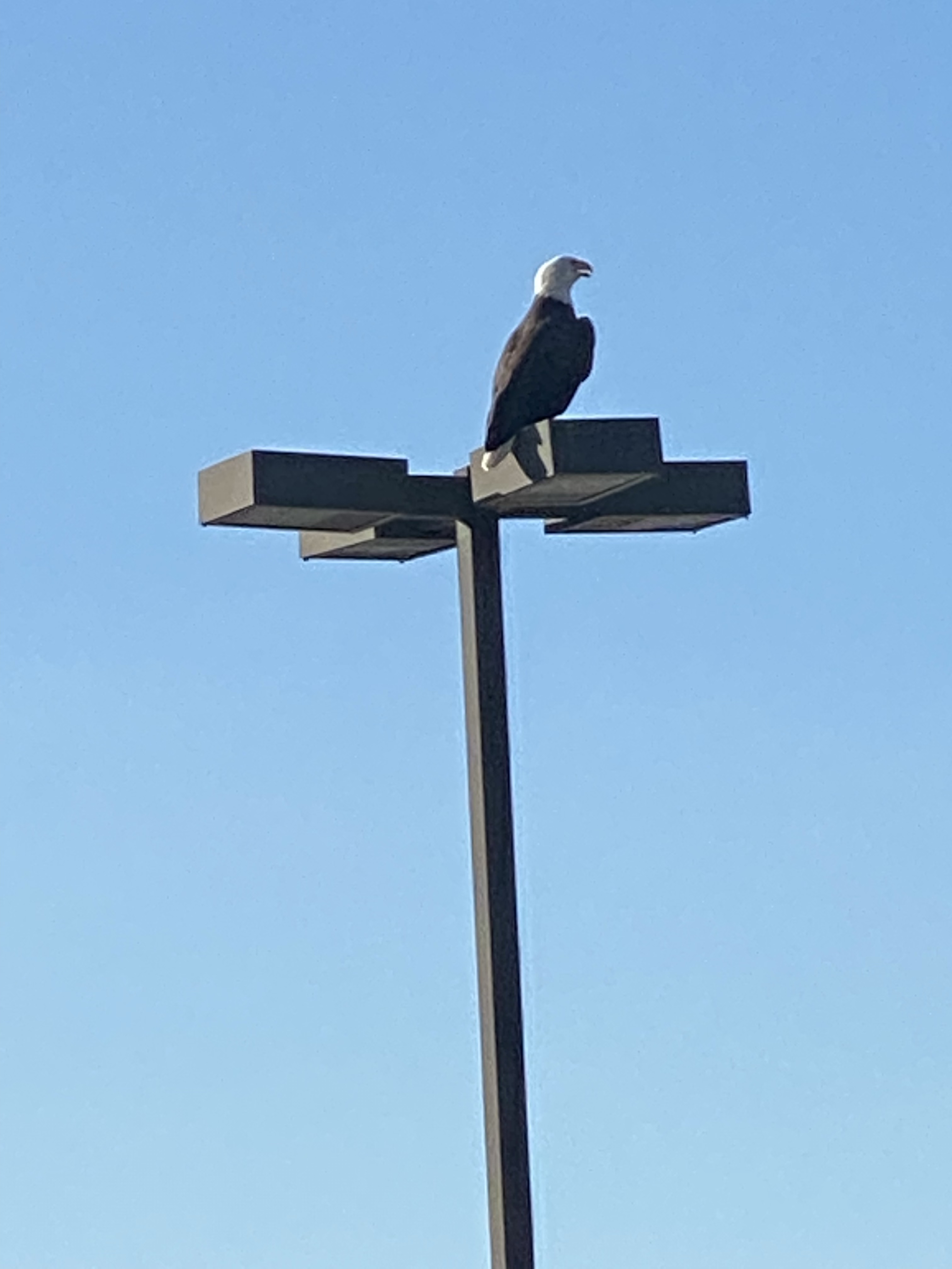 MacDill AFB – Racoons Creek Recreation Campground | On The Road Again ...
